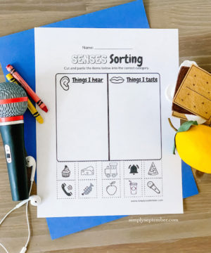 5 Senses Week: PreK-1st Grade Senses Themed Resources - Simply September