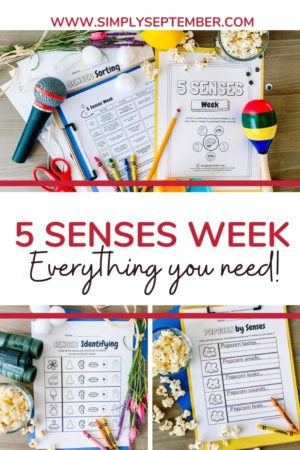 5 Senses Week: PreK-1st Grade Senses Themed Resources - Simply September