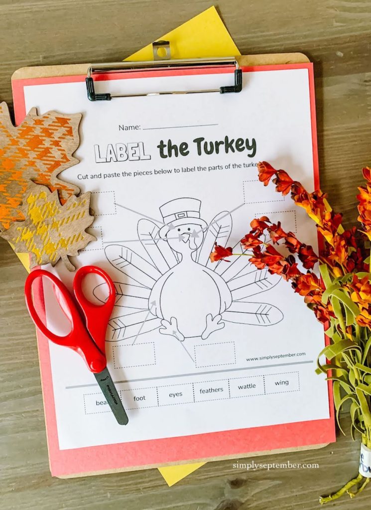Thanksgiving & Gratitude Week(s): PreK-1st Grade Themed Resources ...