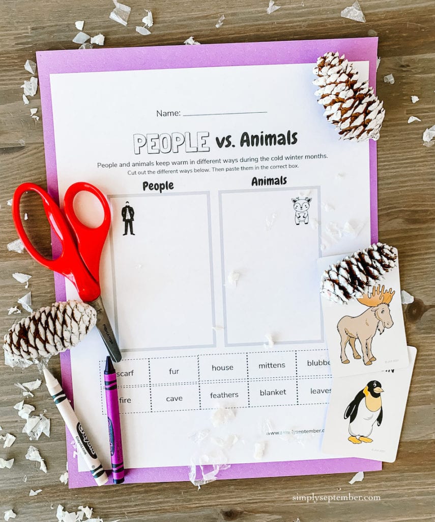 Winter Animals Week: PreK-1st Grade Themed Resources - Simply September
